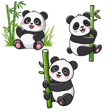 Cute Panda Vector Premium Vector