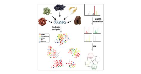 In Depth Analysis Of Molecular Network Based On Liquid Chromatography