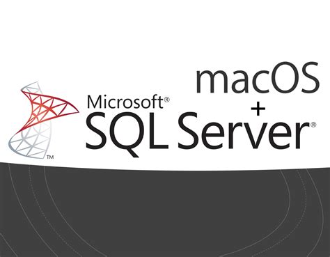 Install Sql Server With Docker On Macos
