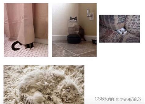 Python3《机器学习实战》学习笔记（九）：ann人工神经网络基础详解机器学习常规套路 收集数据并给定标签 Csdn博客