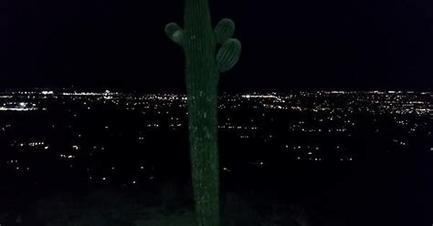 Phoenix Cactus Album On Imgur