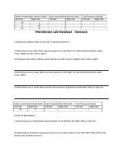Understanding Osmosis And Diffusion A Membrane Lab Handout Course Hero