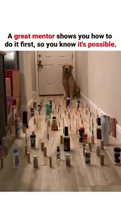 Video Renu Soni On Linkedin Freecourses Freecertification