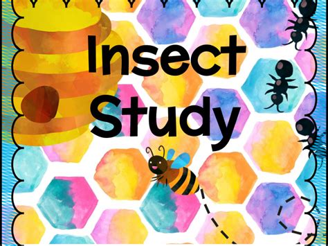 Insect Study Evolution And Inheritance Teaching Resources