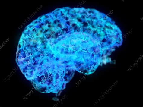 Illustration Of An Abstract Plexus Brain Stock Image F Science Photo Library