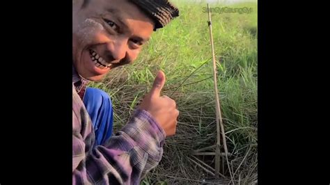 လယ်ကွင်းထဲမှာ အိပ်းပြီး ကြွက်ညှပ်နဲ့ ကြွက်ထောင်ကြမယ်🤗🤗 Youtube