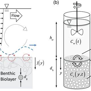 The Influence Of Twoway Coupling And Finite Bed Depth On The Evolution Download Scientific