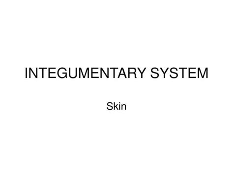 PPT INTEGUMENTARY SYSTEM PowerPoint Presentation Free Download ID 1452153