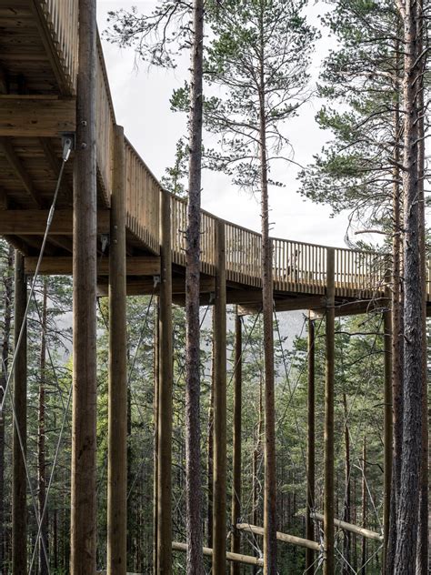 Effekt Creates Treetop Walkway Accessible To All Nature Lovers