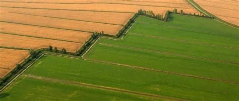 外嫁女能否继承父母的土地流转收益？承包被告经营权