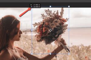 How To Resize An Object In Photoshop Steps Tips