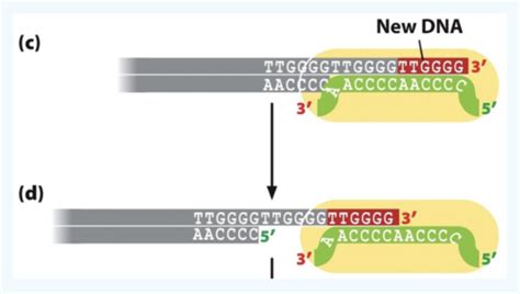 Qs Flashcards Quizlet Qs Flashcards Quizlet