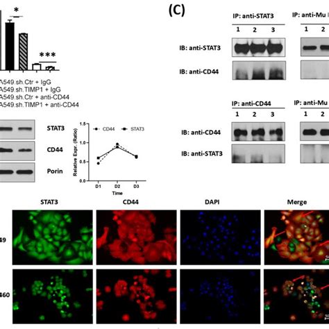 Formalin Fixed Paraffin Embedded Surgical Pathology Specimens From
