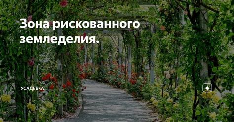 Зона рискованного земледелия Усадебка Дзен