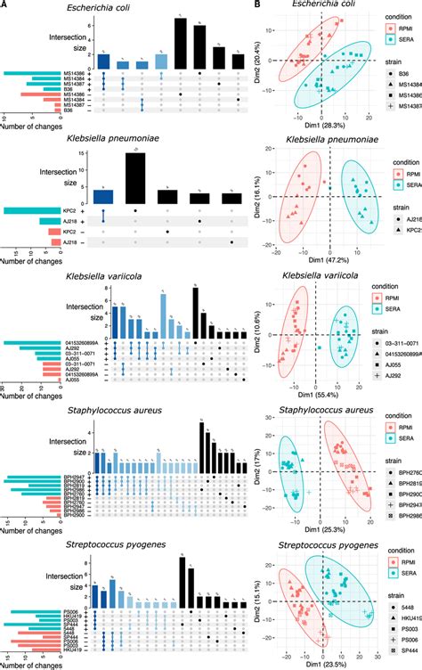 GCMS Analysis To Assess The Impact Of Serum Exposure On The Metabolome Download Scientific