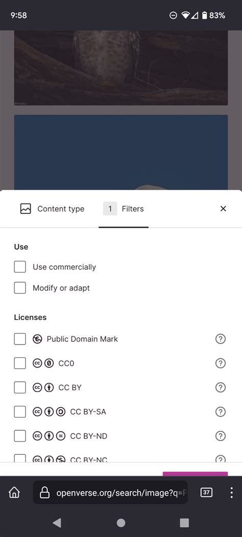 Filter Apply Button Cut Off In Firefox Mobile If Address Bar Is On The Bottom · Issue 2062