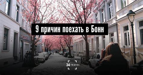 ᐉ Что посмотреть в бонне - Amsterdam Travel