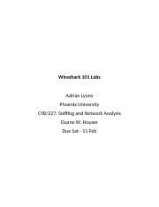 Wireshark Labs Network Analysis Packet Filtering Course Hero