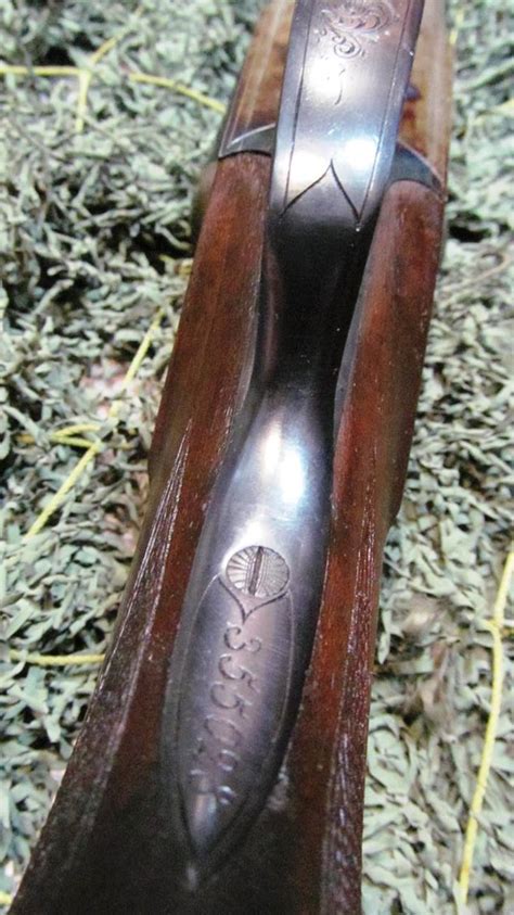 Sauer 8 12 калибр