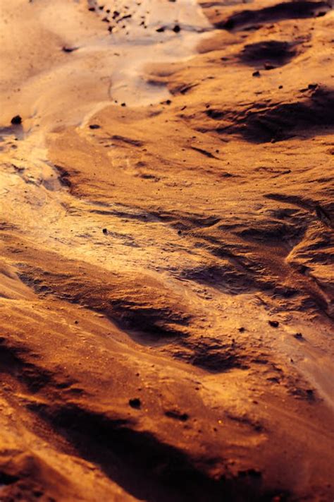 간 경치 고요한 골든 아워 관념적인 노란색 따뜻한 음색 모래 모래 언덕 모래 잔물결 모래 질감 바다 경치 바다 모래 바탕화면 손을 흔들다 야외에서