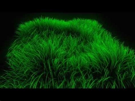 Unity Grass Texture Download Nrafetish