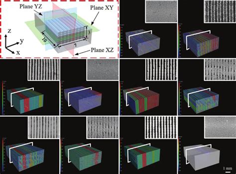 A Schematic Of The Sampling Area For Defect Analysis B K Internal Download Scientific