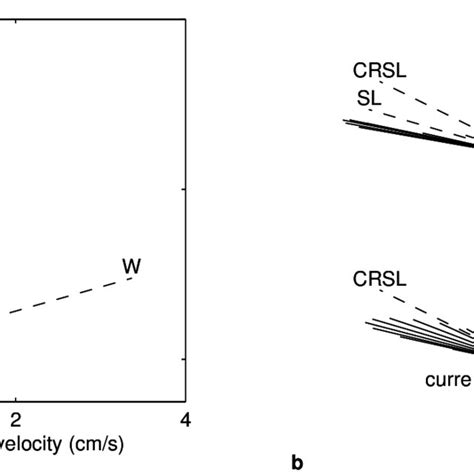 A Vertical Current Vectors At Alternate Computational Levels In The