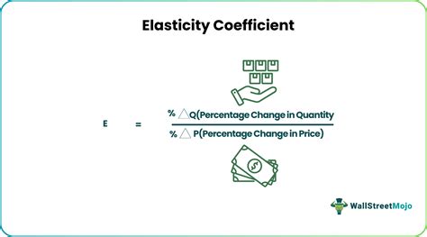 Elasticity Coefficient Definition Formula Examples