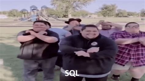 Sql Rprogrammerhumor
