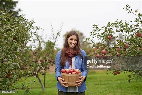 Farmer Picking Tree Photos And Premium High Res Pictures Getty Images