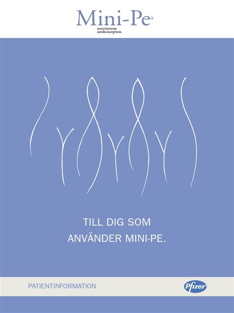 Mini Pe Pdf