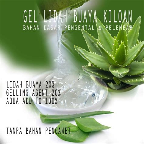 Promo Opi Lidah Buaya Pelembab Aloe Vera Gel Kiloan Lidah Buaya Kota Tangerang Selatan Oke