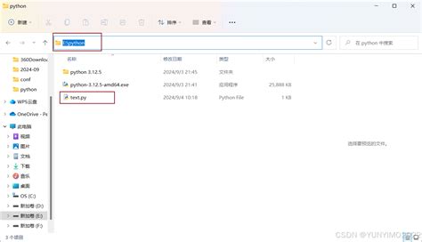 python用记事本写程序 记事本写python csdn博客