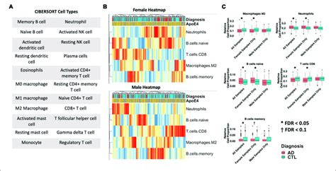 Cell Type Analysis In Whole Blood A Cell Types Included In The