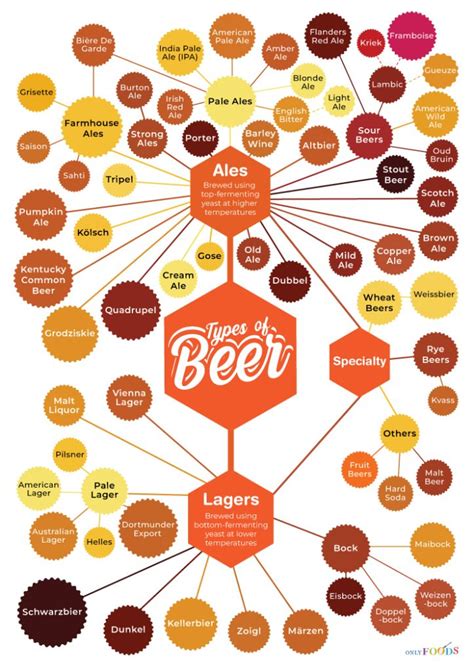 Different Types Of Beers Ales Lagers More With Pictures