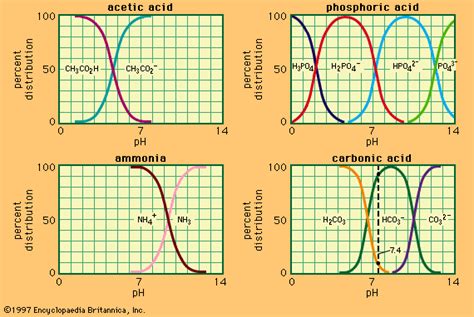 Buffer Ph Control Acid Base Balance Buffer Solutions Britannica