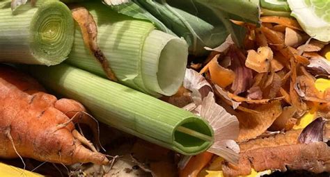 Everything You Need To Know About Composting Hay And Straw
