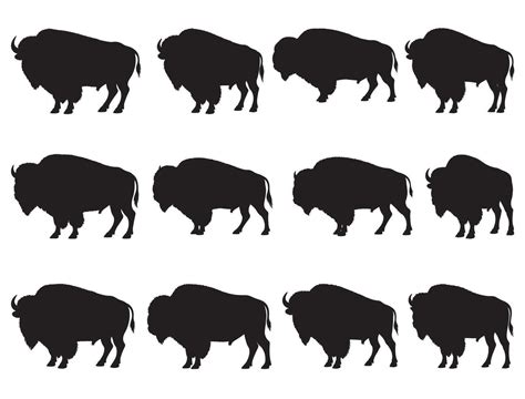 Bison Silhouette White Background 57647158 Vector Art At Vecteezy
