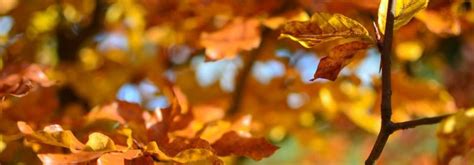 Erop Uit In De Herfst