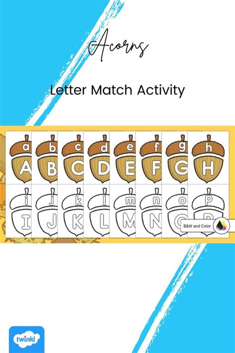 Acorn Upper And Lowercase Letter Match Activity