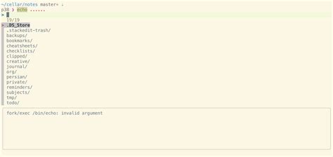 Bug Forkexec Invalid Argument · Issue 2176 · Junegunnfzf · Github
