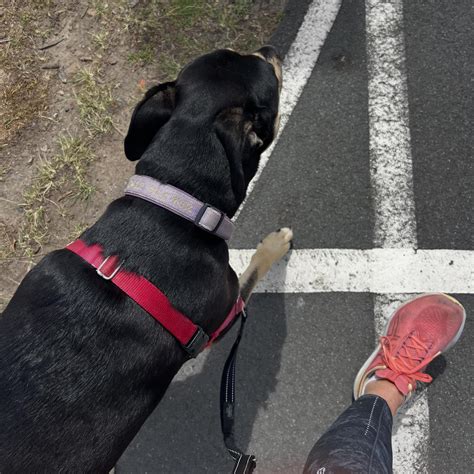 Joan Markwell Sydney Nsw