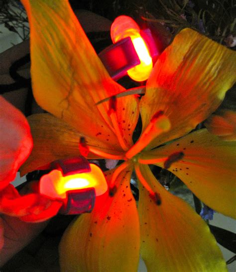 The Sweetest Temptations Gummy Lightning Bugs