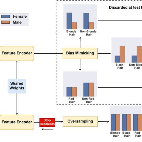 A Long Tailed Distribution Of ImageNet LT Dataset B Biased Download Scientific Diagram