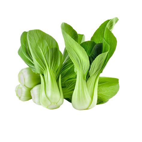 Cải Thìa Organicahanoi