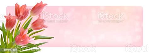 분홍색 배경에 현실적인 튤립의 꽃다발 분홍색 튤립 싹의 구성 초대 장 배너 봄 꽃이있는 포스터에 대한 템플릿 벡터 일러스트레이션 공휴일에 대한 스톡 벡터 아트 및 기타