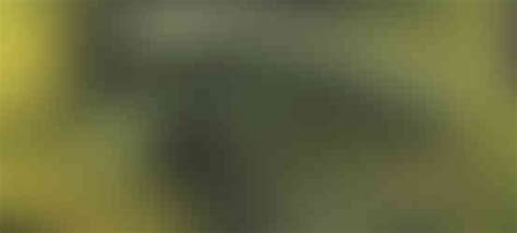 Help Save Nz Endangered Species Freshwater Fish
