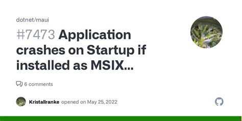 Application Crashes On Startup If Installed As Msix Package · Issue