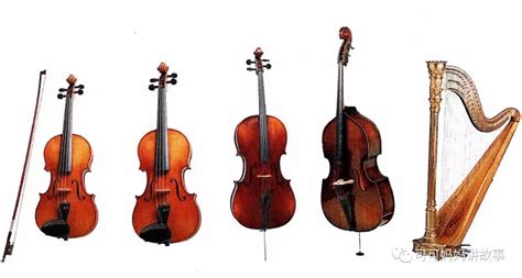 【可可妈妈讲故事 第137期】古典音乐启蒙（3）弦乐器家族 搜狐大视野 搜狐新闻