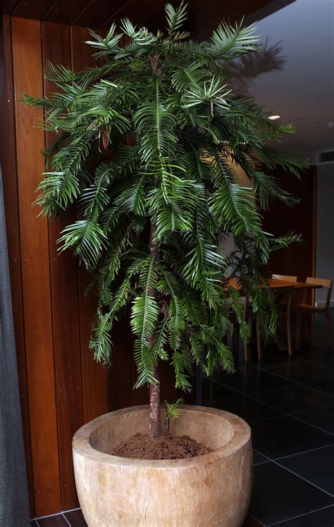 So Wohnt Rapper Prinz Pi In Berlin Artofit